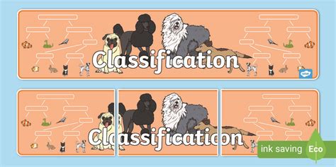 cursive classification display banner teacher made
