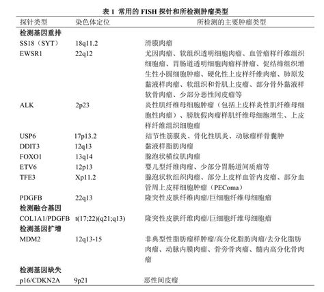 软组织和骨肿瘤分子病理学检测专家共识（2019年版） 搜狐大视野 搜狐新闻