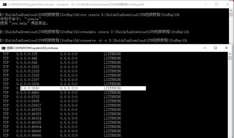 Svn服务器部署 Csdn博客