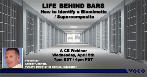 Voco America Inc On Linkedin Life Behind Bars How To Identify A Biomimetic Supercomposite