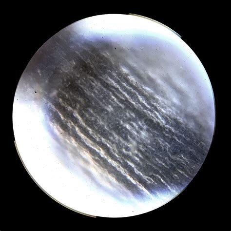 Under The Microscope Graphite Office For Science And Society Mcgill University