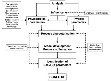 Industrial Fermentation Definition Problem And Application Boc Sciences