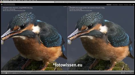 Das neue Topaz Photo AI v3 Test Entrauschen Schärfen Vergrößern