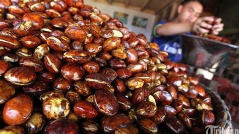 Cara Menghilangkan Bau Jengkol Di Mulut Dengan Cepat Lakukan 5 Hal