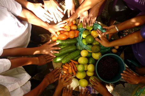 Seguridad alimentaria y nutricional en América Latina y el Caribe
