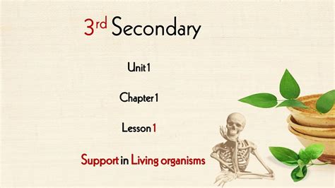 3rd Sec Support In Man Part 2 6 The Vertebral Column Youtube