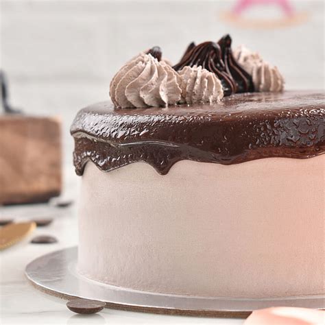 Order Chocolate Classic Ice Cream Cake 6 Portion Online Same Day