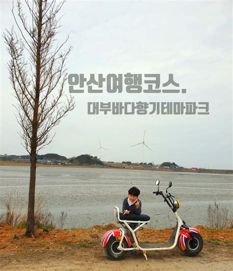 안산 여행 코스 대부도 바다향기 테마파크 네이버 블로그