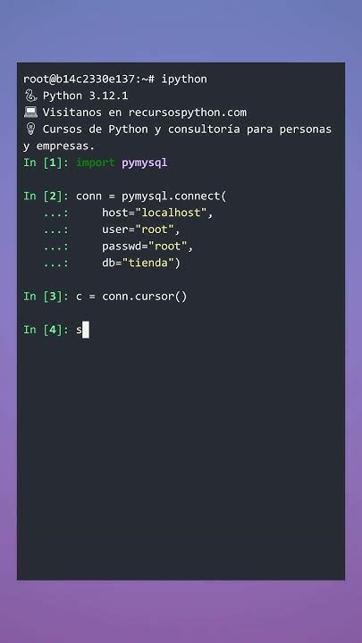 Conectar Con Base De Datos Mysql En Python Youtube