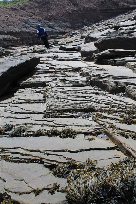Day Tripping In Nova Scotia Joggins Fossil Cliffs