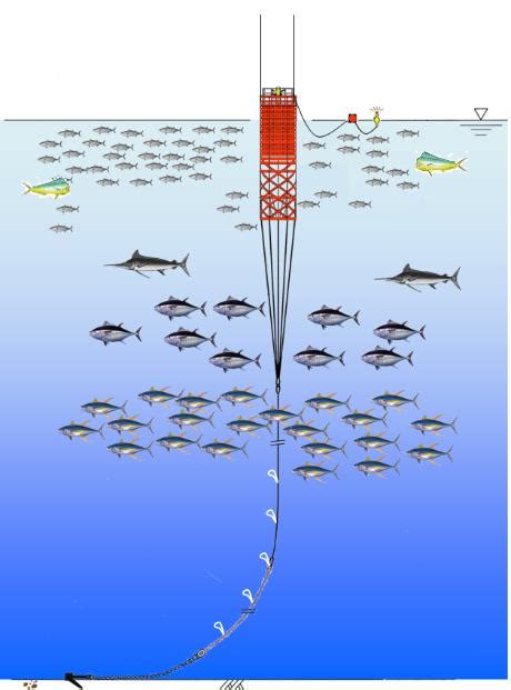 Fad Structure