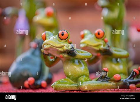 Tree Frog Tongue Hi Res Stock Photography And Images Alamy