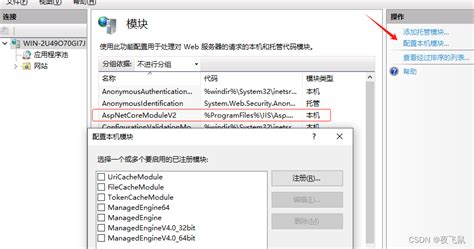 Aspnet Core 60 多种部署方式aspnetcoremodulev2安装 Csdn博客