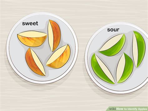 How To Identify Apples 11 Steps With Pictures Wikihow