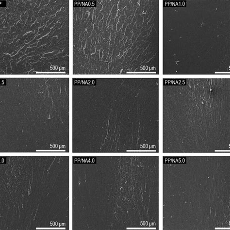 Sem Photomicrographs Of Charpy Impact Test Fracture Surfaces Of Neat Pp Download Scientific