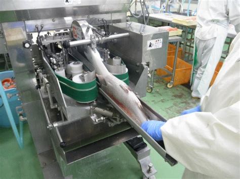 株式会社丸徳水産 商品紹介トラウト マス