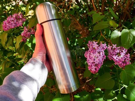 Hiking with a Thermos in Nature. Metal Thermos for Tea and Drinks ...