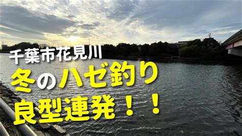 【花見川でハゼ釣り】良型連発！ちょい投げで狙う冬のハゼ釣り！ Youtube