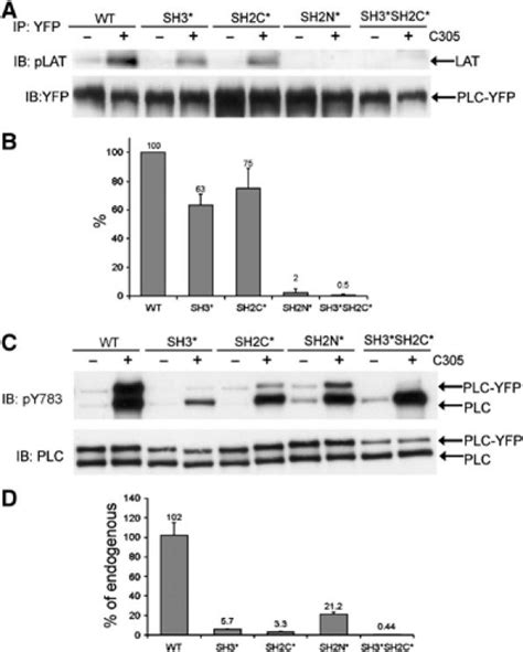 Recruitment And Activation Of Plcγ1 In T Cells A New Insight Into Old Domains Pmc