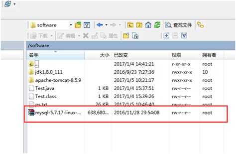Linux虚拟机下安装配置mysql 洒水閃人 博客园
