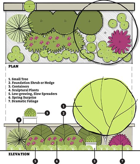 Privacy Landscaping Landscaping Plants Front Yard Landscaping Lawn