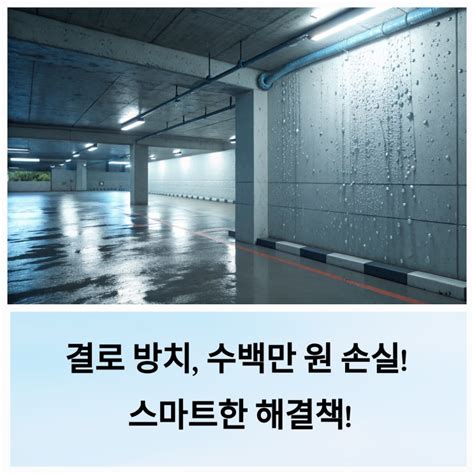 지하 주차장 결로 부식 곰팡이 습기 문제 그대로 두면 큰일 산업용 대용량 제습기로 스마트하게 해결하기 네이버 블로그