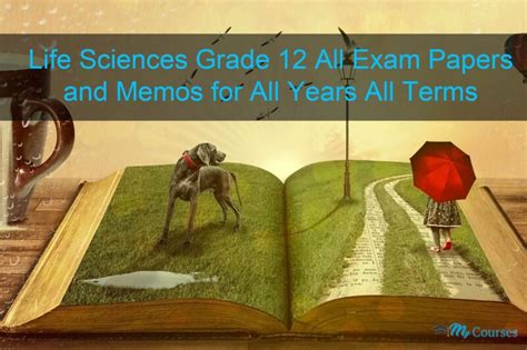 Human Reproduction Grade 12 Life Sciences Notes With Questions And