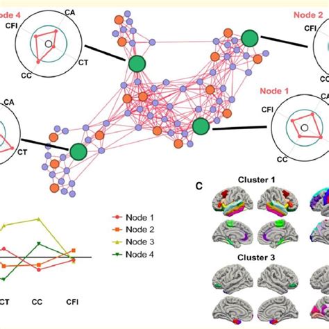 The Cortical Morphological Profiles Defined By Neural Network And Their