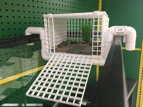 Health What Does Eggcrate Mean In The Context Of A Material For A Turtle Basking Area