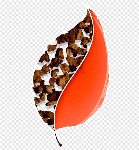 허벌 티 스프리터 음료 주전자 차 식품 차 Png Pngegg