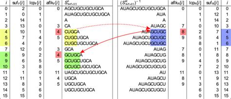 Affix Array For S Auagcugcugcugca Some Lcp Intervals Are Marked By