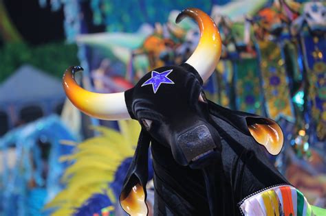 Boi Caprichoso Conheça o Livro Premiado sobre o Boi Bumbá Gazeta da