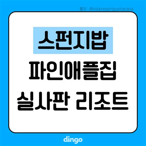 딩고 스낵비디오 여기가 바로 비키니시티 도미니카 공화국의 니켈로디언 호텔🍍 나 진짜 스폰지밥