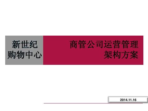 新世纪商管公司运营架构方案 Word文档在线阅读与下载 无忧文档