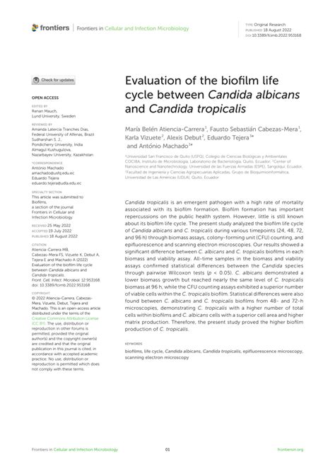 Pdf Evaluation Of The Biofilm Life Cycle Between Candida Albicans And