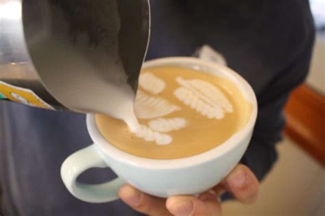 Parrot Latte Art By Victor Vu BeanScene