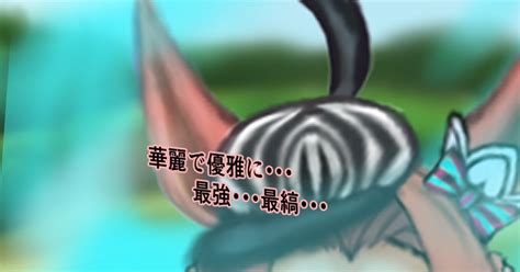 けものフレンズ さいしょのふれんず？ ドドバトのマンガ ウマ娘プリティーダービー ドールけものフレンズ ミーアキャットけもの