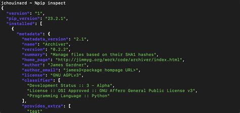How To Use Pip In Python Install Update Uninstall Packages With