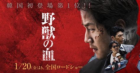 末廣末蔵 On Twitter 『野獣の血』、釜山港郊外の寂れた地区の小さな利権を巡る底辺ヤクザの殺し合い、仁義より地位、栄誉より保身の