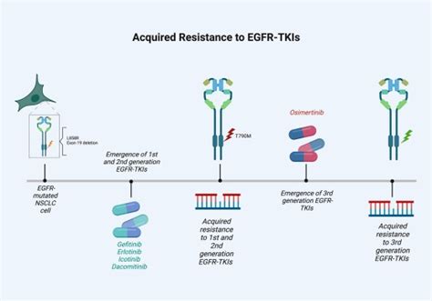 Acquired Resistance Mechanisms To Osimertinib The Constant Battle Cancer Treatment Reviews