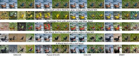 Figure 5 From Multi Mapping Image To Image Translation Via Learning