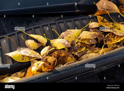 Golden Autumn Leaves Blocking The Air Flow On The Ventilation Grille