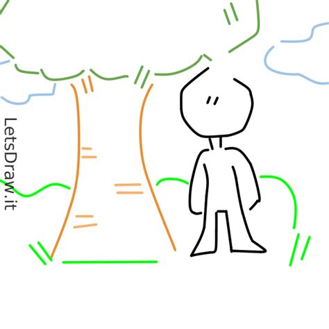 How To Draw Tree Oi79egxnp Png LetsDrawIt