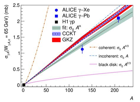 A Dependence Of The γa Cross Section For The Coherent Production Of A ρ