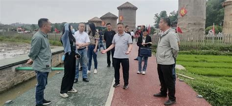 【旅游产业发展】市人大常委会调研组到平坝区开展金刺梨产业和乡村旅游发展情况调研澎湃号·政务澎湃新闻 The Paper