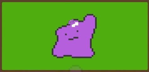 Ditto Dancing Conga Live Picture Animal Art Dance