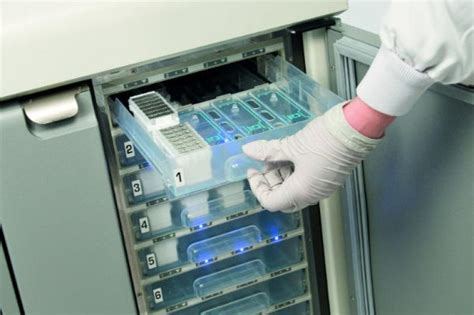 Lumipulse® G Hbcrag Cleia Clia Based Assay For Fully Automated Ivd Immunoassay Testing