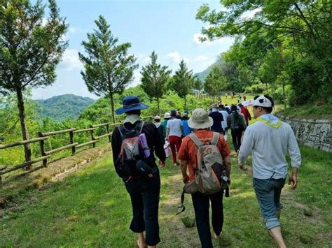 전북 장수군 승마로드서 열린 맨발걷기 축제 성황 중앙일보