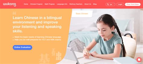 Top 5 Chinese Classes For Students Learn Mandarin Online WuKong Blog