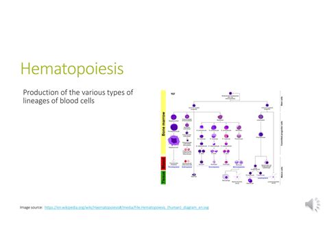 module 1 overview color slides 2021 pdf